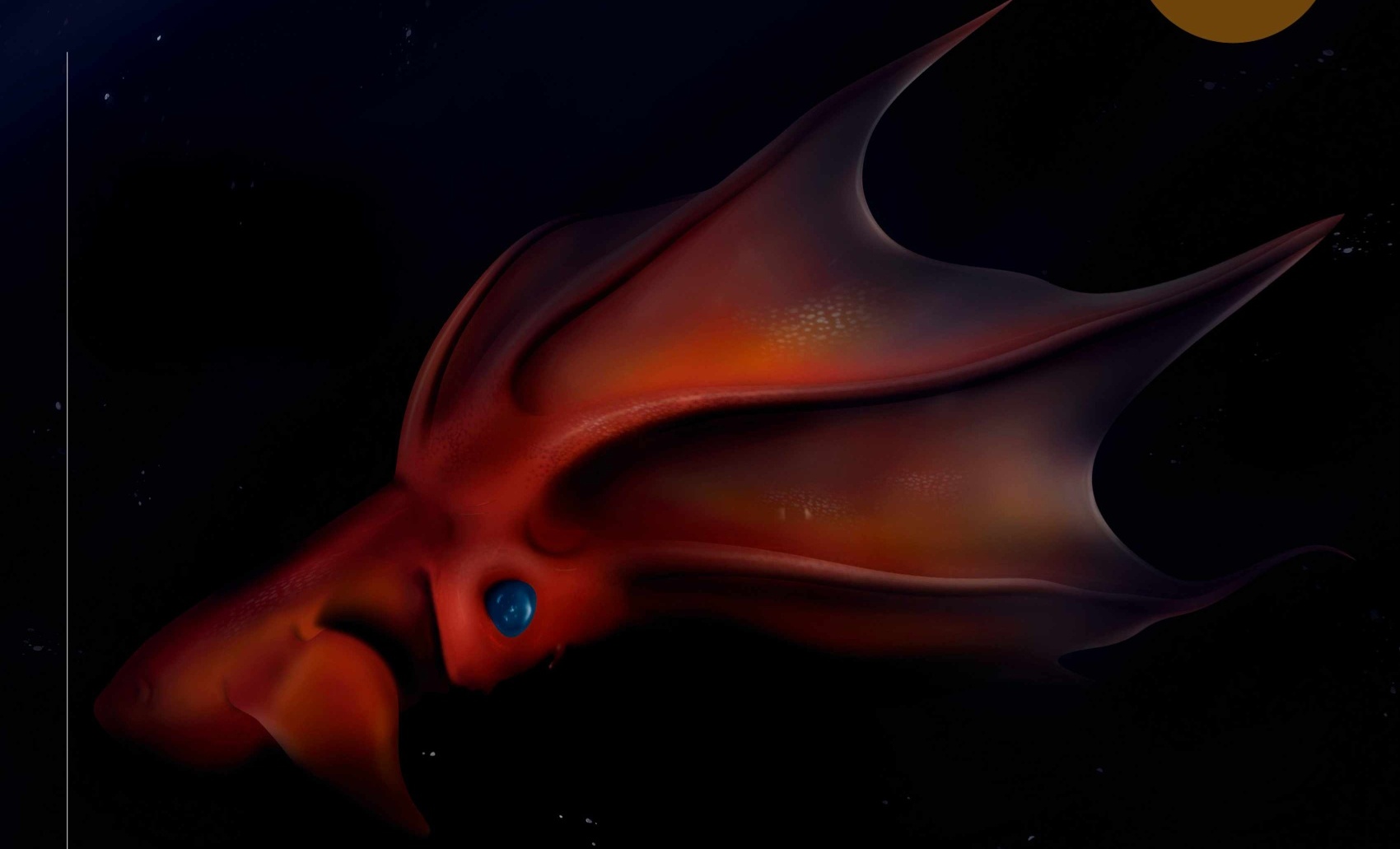 Vampire Squid Pictures