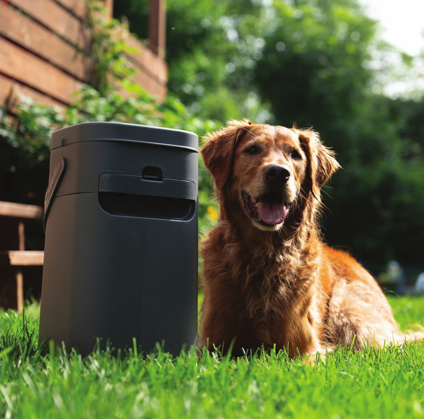 Waste Digester For Dogs