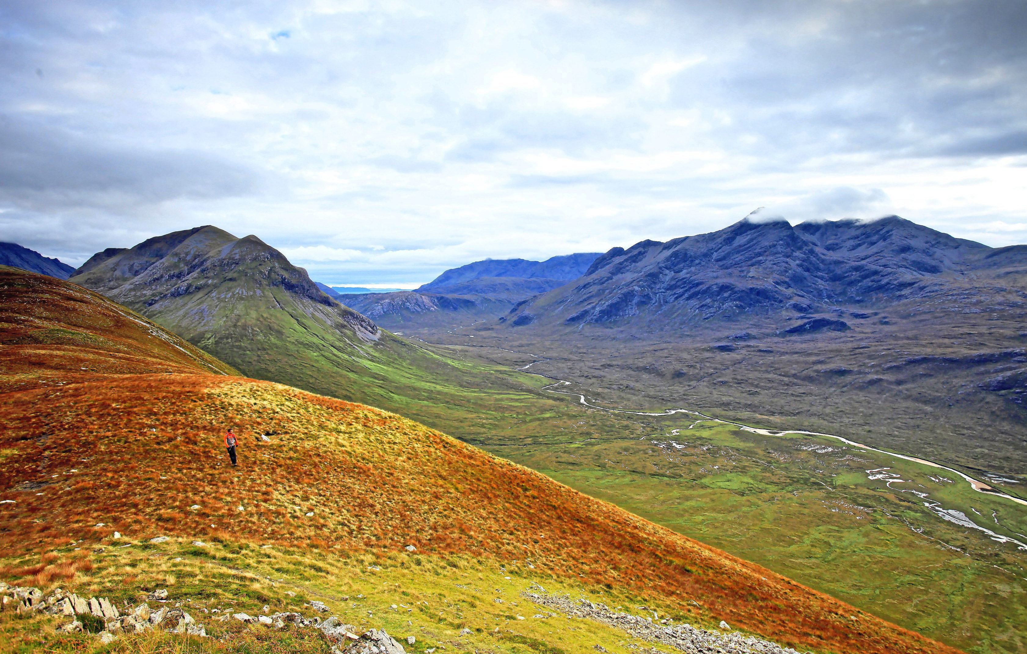 Dearg Scarlet