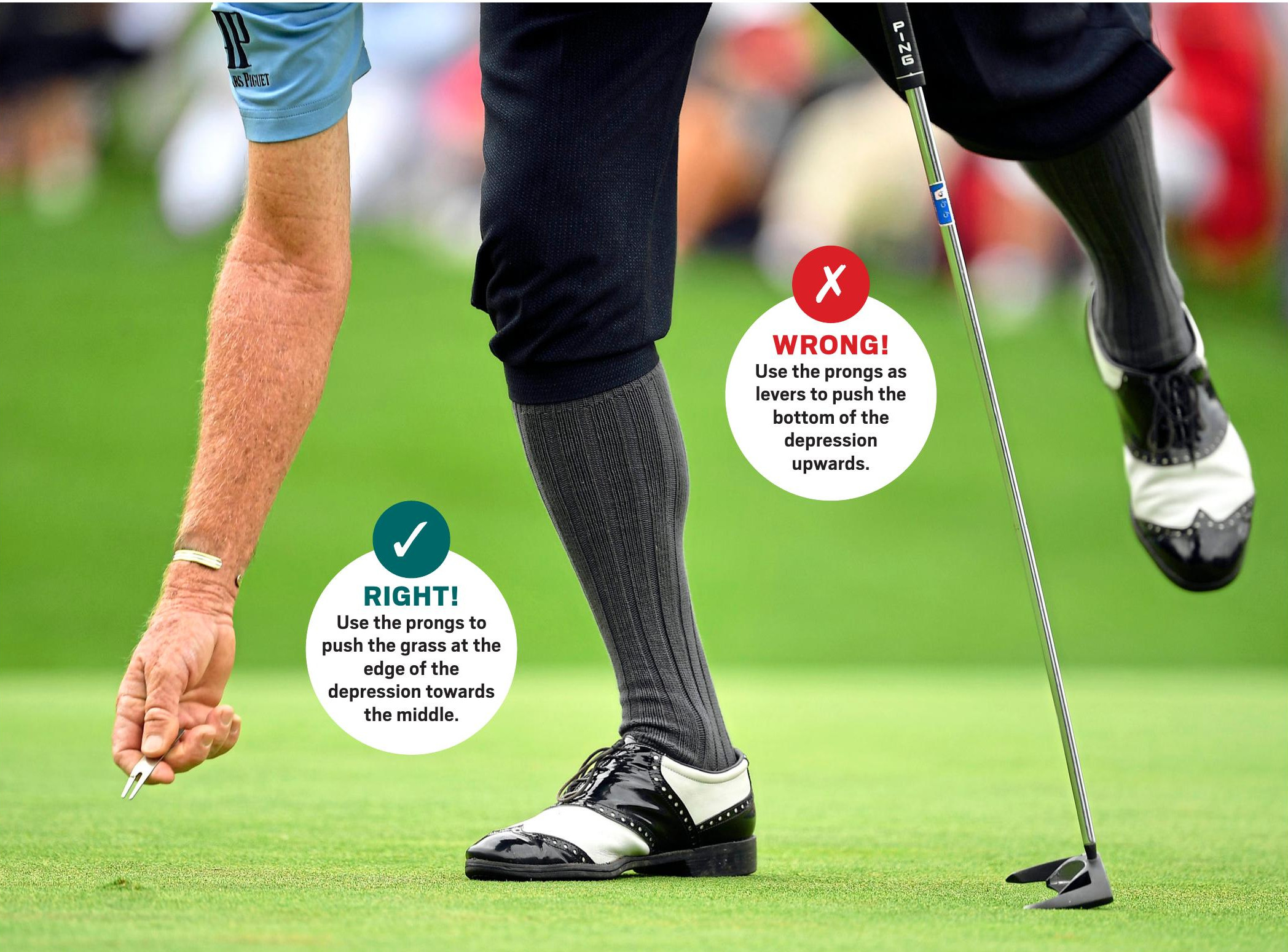 When to repair a pitch mark - 22 Jan 2026 - Today's Golfer Magazine ...