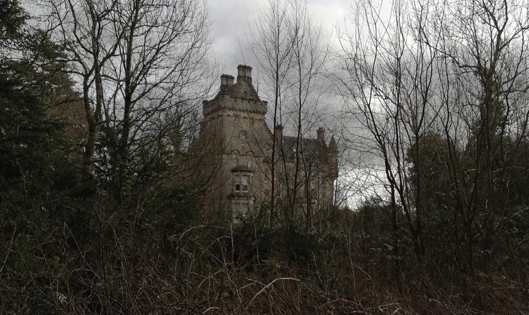 The Overtoun Bridge Phenomena
