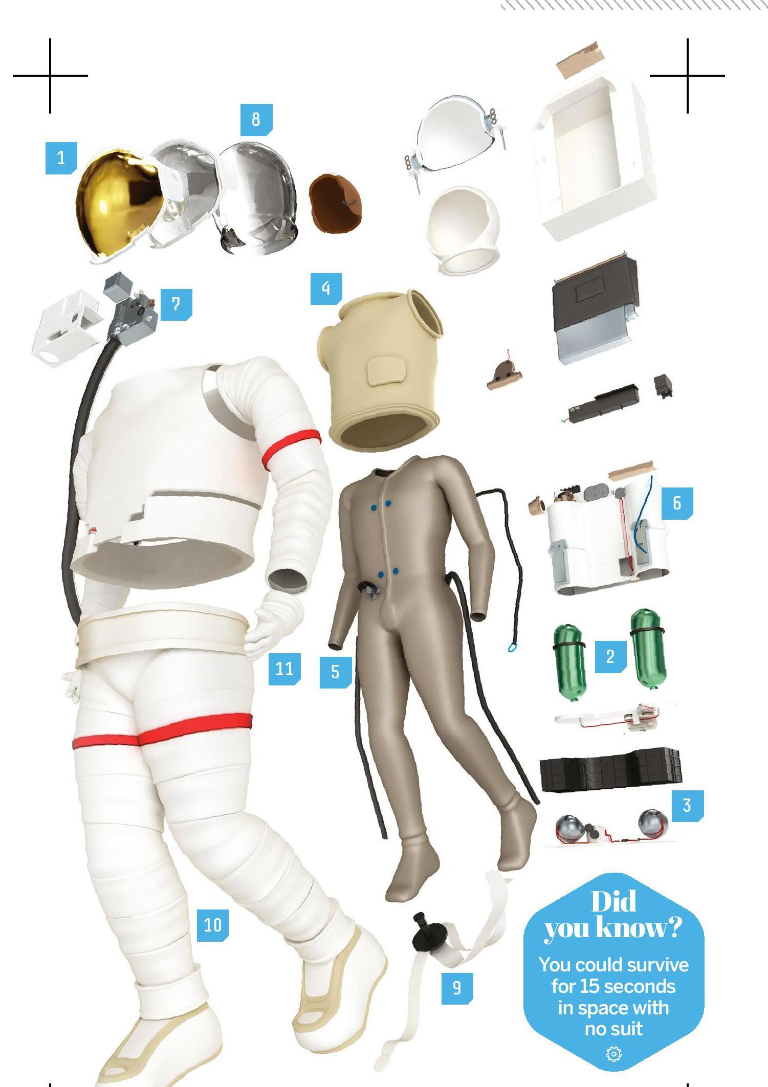 Space Suit Diagram Layers