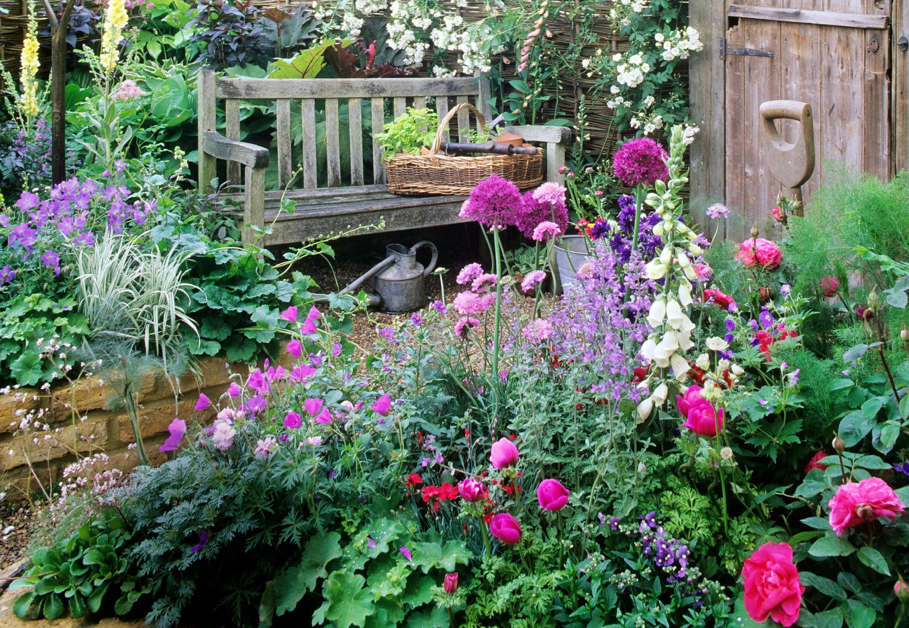 Modern Cottage Garden