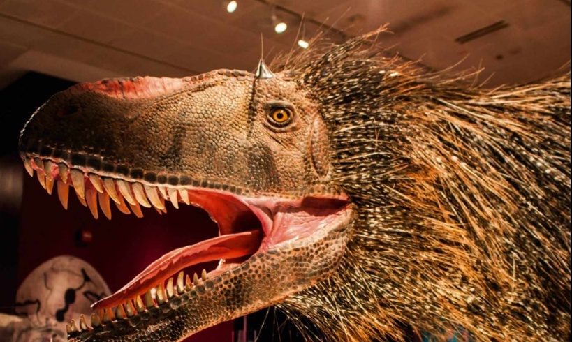 Waht Com Look Like Dinosaurs