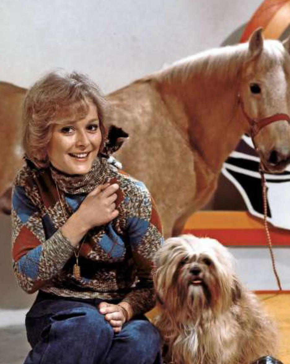 Jenny Hanley Sons